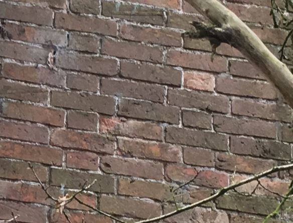 Bricks and History – The History Detective